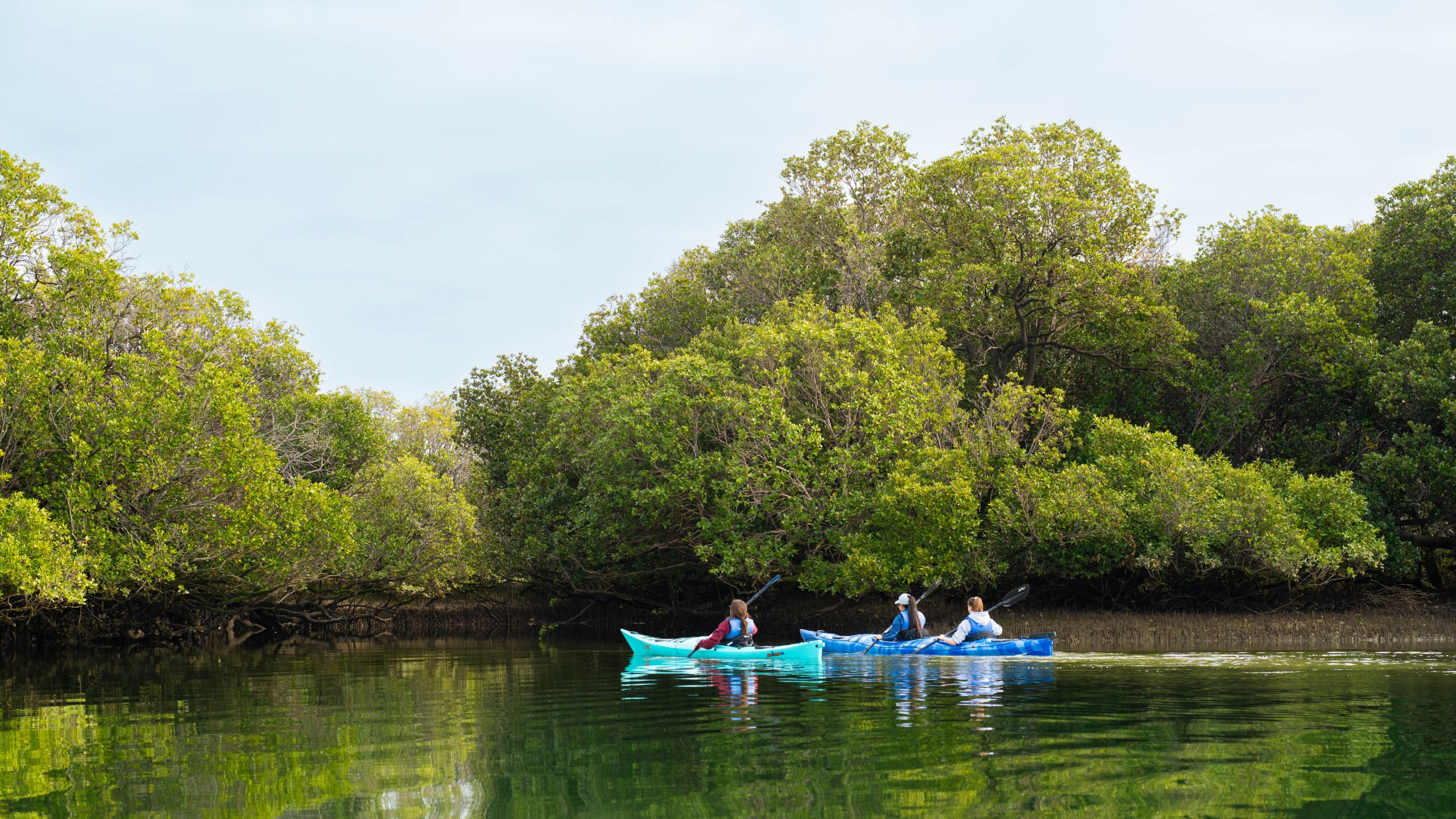 Spring into Nature | Adelaide Beaches